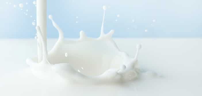 Bioeconomy Award: H-Milch besitzt mehr Geschmack & Nährstoffe ...